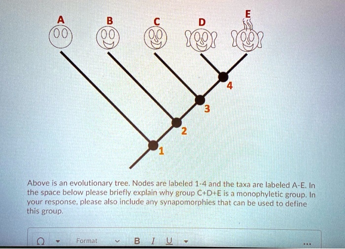 SOLVED: Above is an evolutionary tree: Nodes are labeled 1-4 and the ...