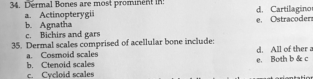 SOLVED: 34. Dermal Bones are most prominent in: a. Actinopterygii b ...