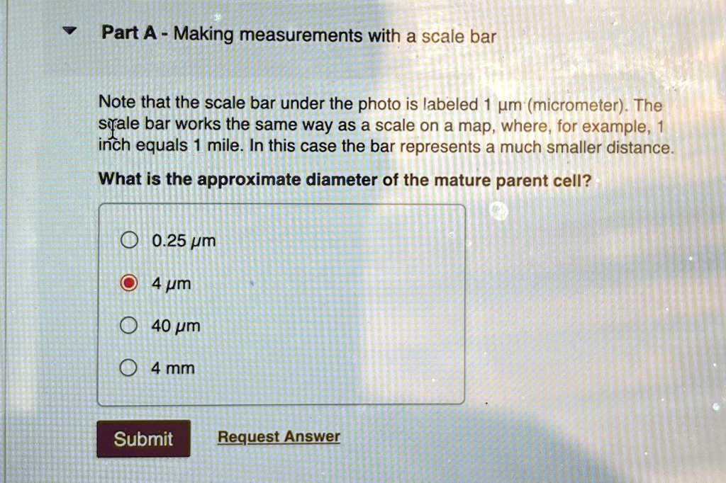 ? Part A - Making measurements with a scale bar Note that the scale bar ...
