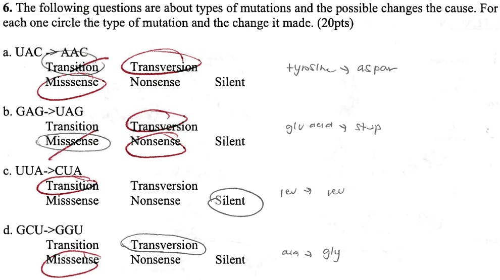 SOLVED: 6. The following questions are about types of mutations and the ...
