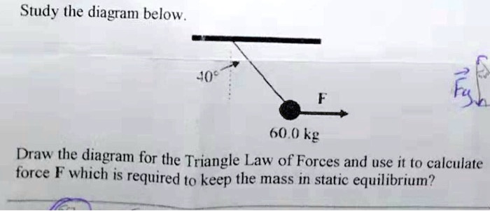 study the diagram below j0 60 0 kg draw the diagram for the triangle ...