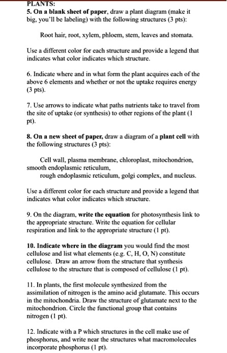 plans 5on blank sheec ol paper draw plant diagram make big you ilbe ...