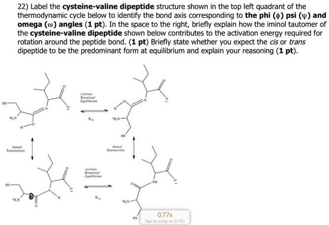 22) Label the cysteine-valine dipeptide structure shown in the top left ...