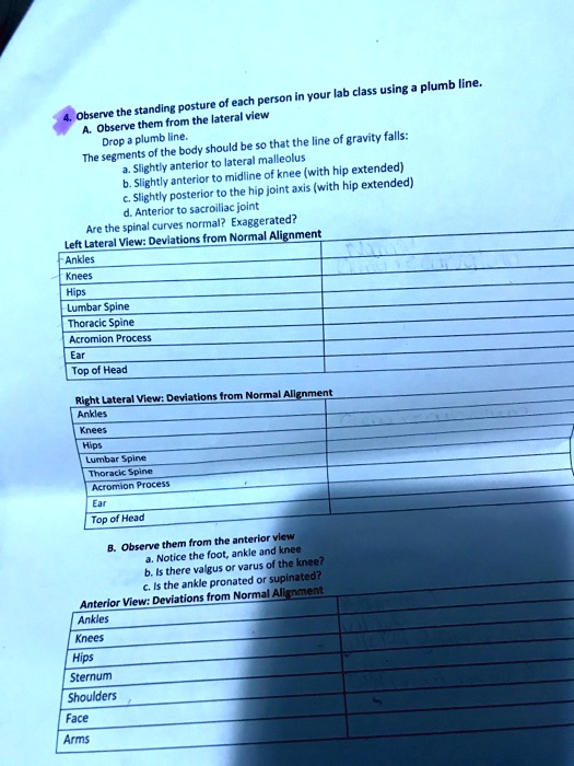 SOLVED: Observe the standing posture of each person in your lab class ...