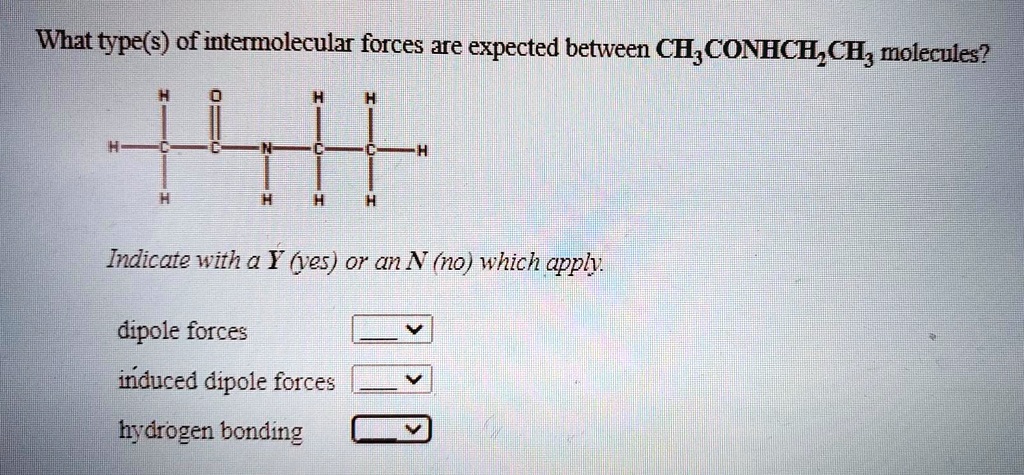 SOLVED: What type(s) of intermolecular forces are expected between ...