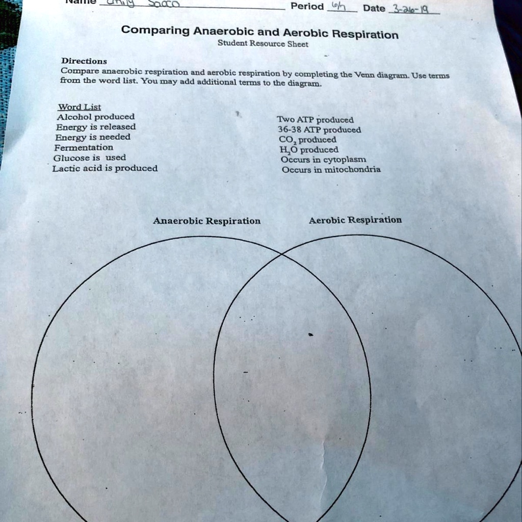 Directions Period 6/7 Date 3-216-19 Comparing Anaerobic and Aerobic ...
