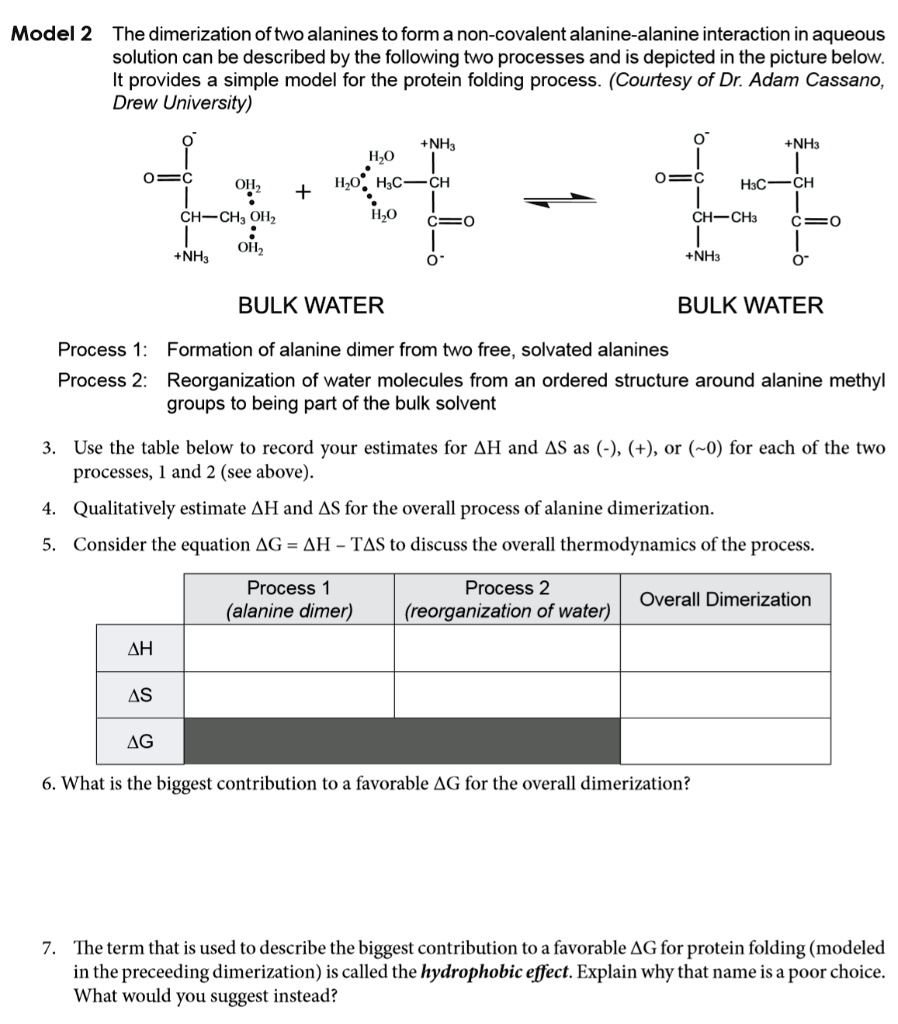 model 2 the dimerization of two alanines to form a non covalent alanine ...