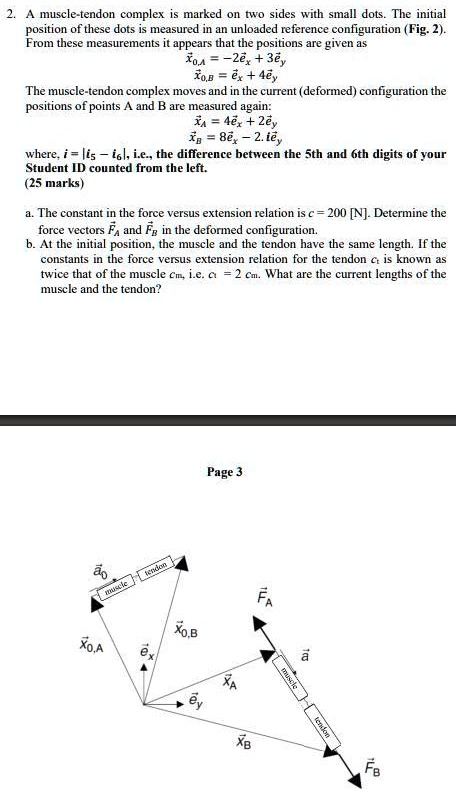 i = 2 2. A muscle-tendon complex is marked on two sides with small dots ...