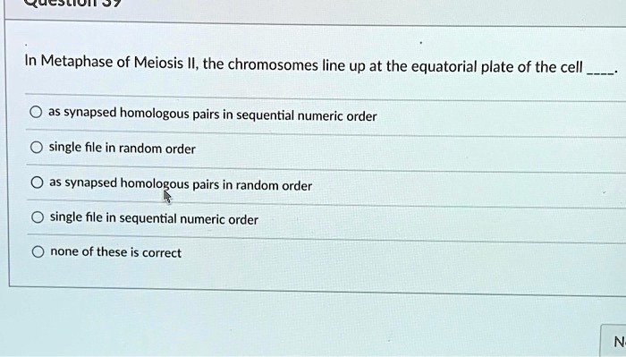 In Metaphase of Meiosis II, the chromosomes line up at the equatorial ...
