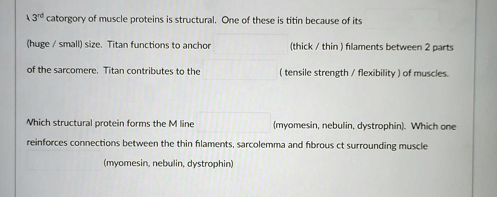 SOLVED: Texts: 1. The 3rd category of muscle proteins is structural ...