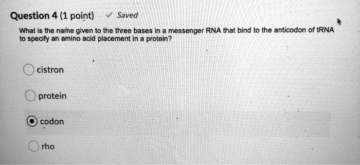 SOLVED: Question 4 (1 point) Saved What is the name given to the three ... SOLVED: Question 4 (1 point) Saved What is the name given to the three ...