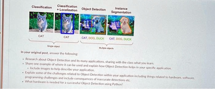 SOLVED: Texts: Classification CAT Classification + Localization Single ...