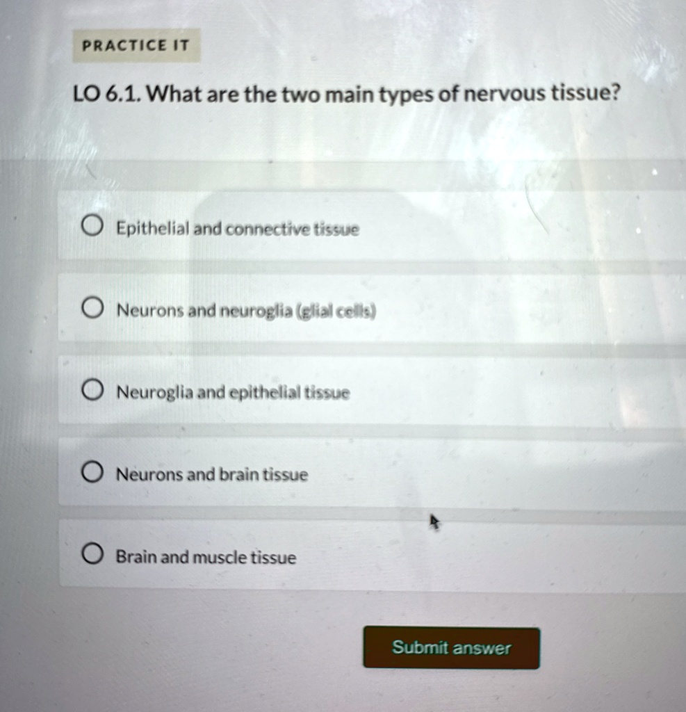lo 61 what are the two main types of nervous tissue epithelial and ...