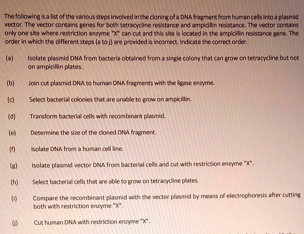 SOLVED: The following is a list of the various steps involved in the cloning of a DNA fragment ...