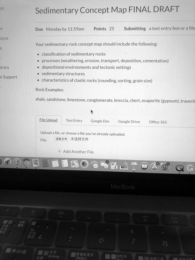 SOLVED: "Sedimentary concept map final draft. Please follow the instructions. Sedimentary ...