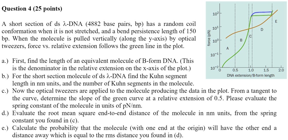 question 4 25 points 102 a short section of ds 2 dna 4882 base pairs bp ...