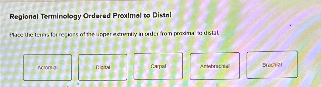 Regional Terminology Ordered Proximal to Distal Place the...
