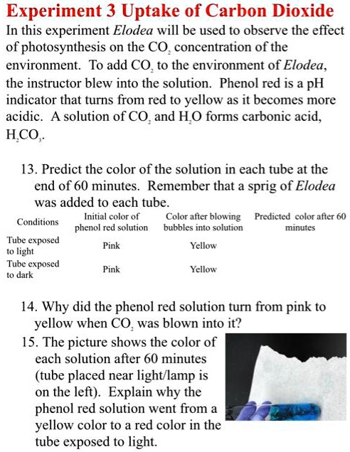 experiment 3 uptake of carbon dioxide in this experiment elodea will be ...