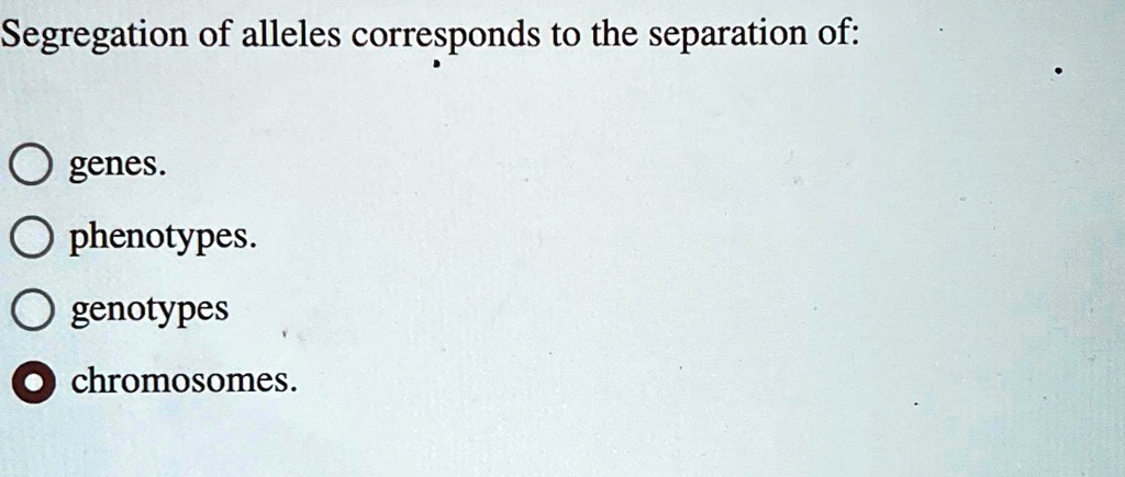 Segregation of alleles corresponds to the separation of: genes ...