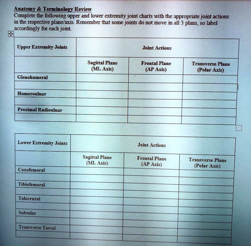 Anatomy Terminology Review Complete the following upper and lower ...