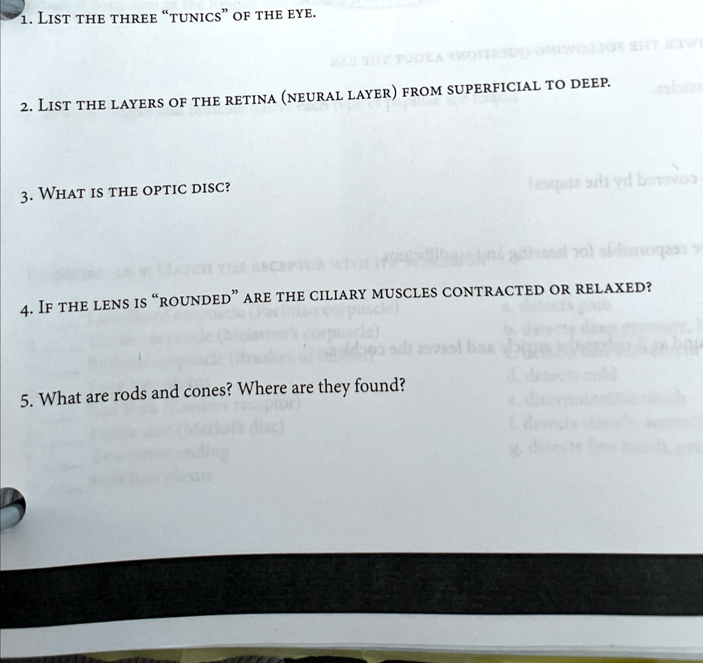 list the three tunics of the eye list the layers of the retina neural ...