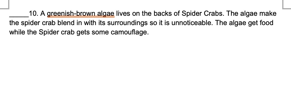 10 a greenish brown algae lives on the backs of spider crabs the algae ...