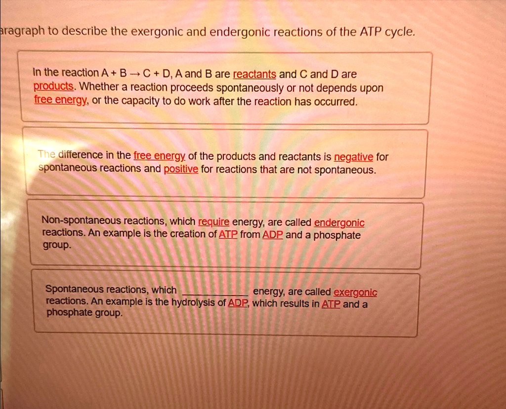 paragraph to describe the exergonic and endergonic reactions of the atp ...