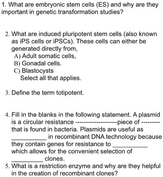 1 what are embryonic stem cells es and why are they important in ...