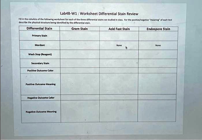SOLVED: Texts: Lab4B-W1 Worksheet: Differential Stain Review 1 ...