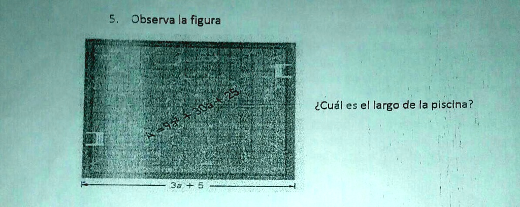 SOLVED: ayúdenme con esto por favor es para hoy 5 . Observa la figura ... SOLVED: ayúdenme con esto por favor es para hoy 5 . Observa la figura ...