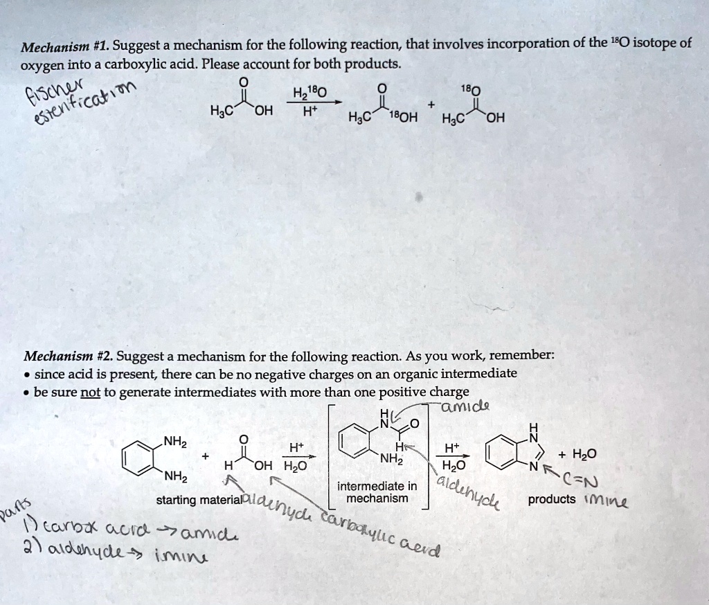 SOLVED: Mechanism #1: Suggest a mechanism for the following reaction ...