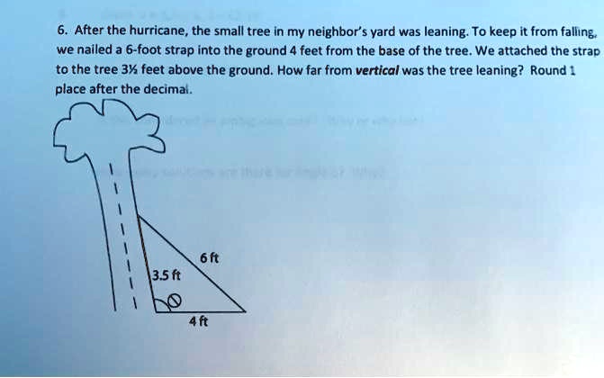 SOLVED: After the hurricane; the small tree in my neighbor's yard was ...