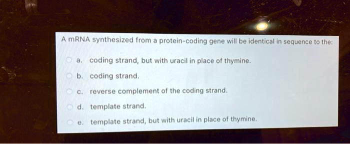 SOLVED: A mRNA synthesized from a protein-coding gene will be identical in sequence to the ...