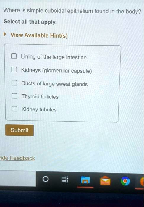 Where is simple cuboidal epithelium found in the body? Select all that apply. View Available ...