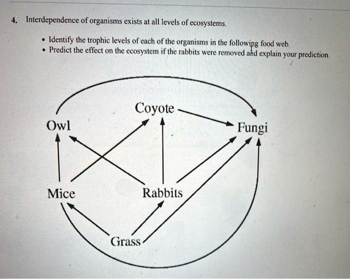 interdependence of organisms exists at all levels of ecosystems ...