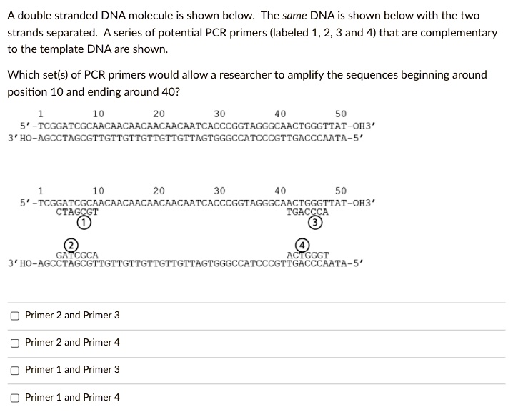 SOLVED: A double-stranded DNA molecule is shown below. The same DNA is shown below with the two ...