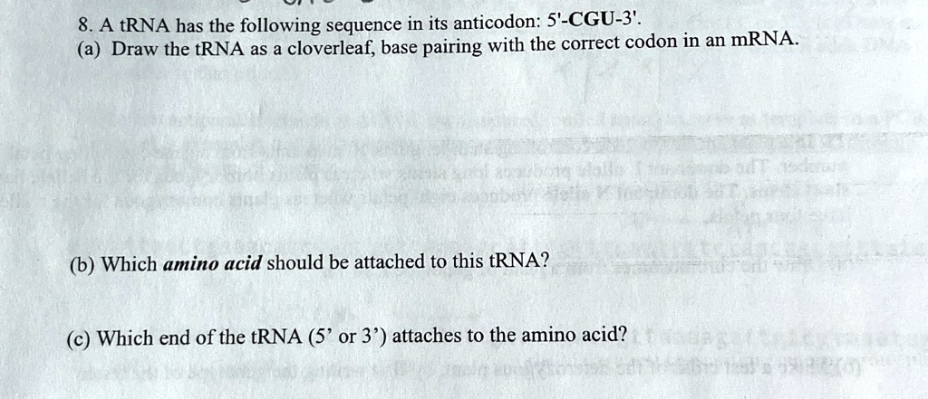 8 a trna has the following sequence in its anticodon 5 cgu 3 a draw the trna as a cloverleaf ...