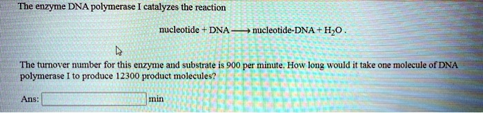 SOLVED: The enzyme DNA polymerase catalyzes the reaction nucleotide DNA ...
