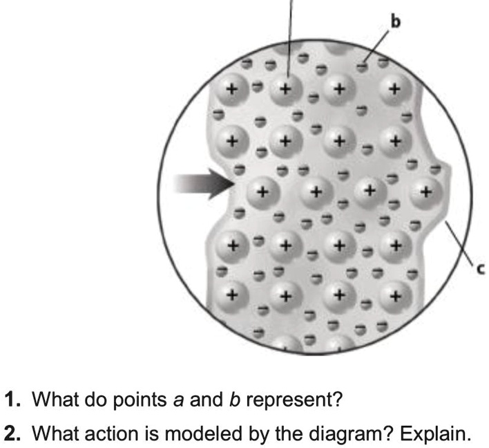 1. What do points a and b represent? 2. What action is modeled by the ...
