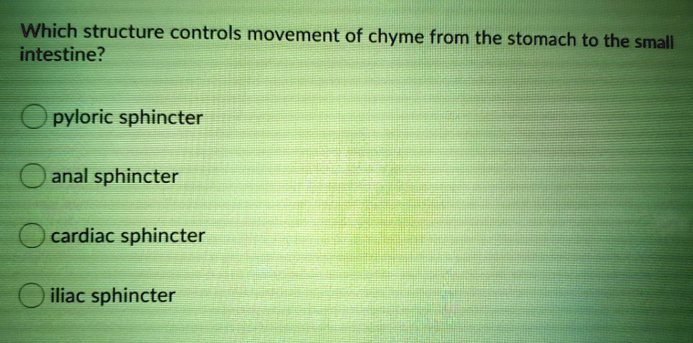 'a multiple choice question #10 Which structure controls movement of ...