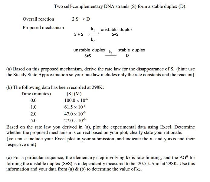 SOLVED:Two self-complementary DNA strands form stable duplex (D ...