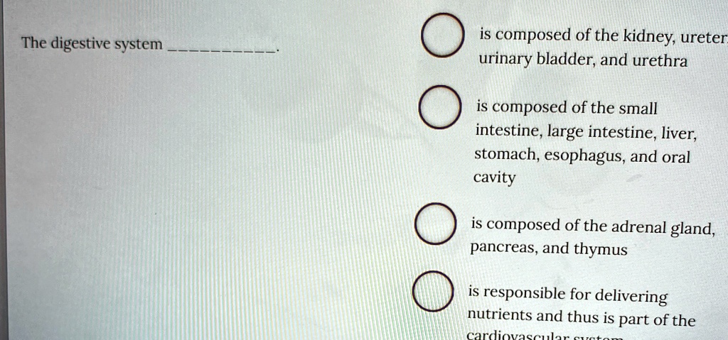 the digestive system is composed of the kidney ureter urinary bladder ...