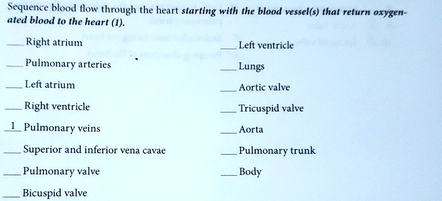 Sequence blood flow through the heart starting with the blood vessel(s ...