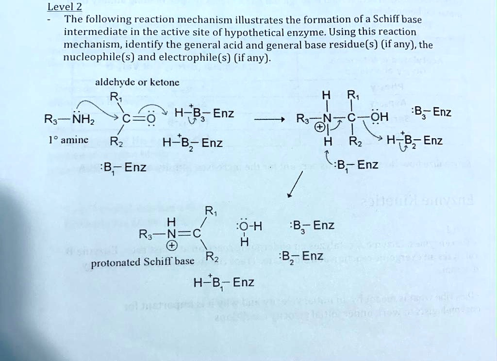 SOLVED: Level 2: The following reaction mechanism illustrates the ...