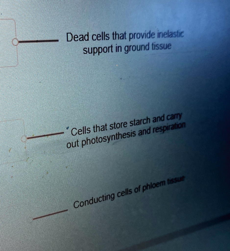 dead cells that provide inelastic support in ground tissue cells that ...
