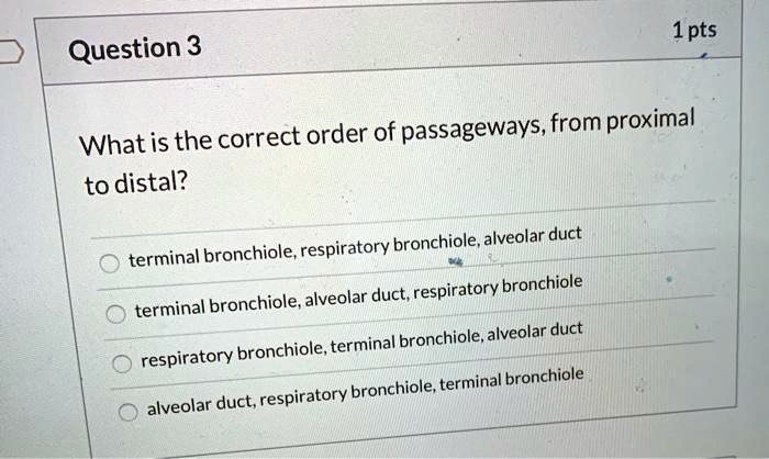 What is the correct order of passageways, from proximal to distal ...