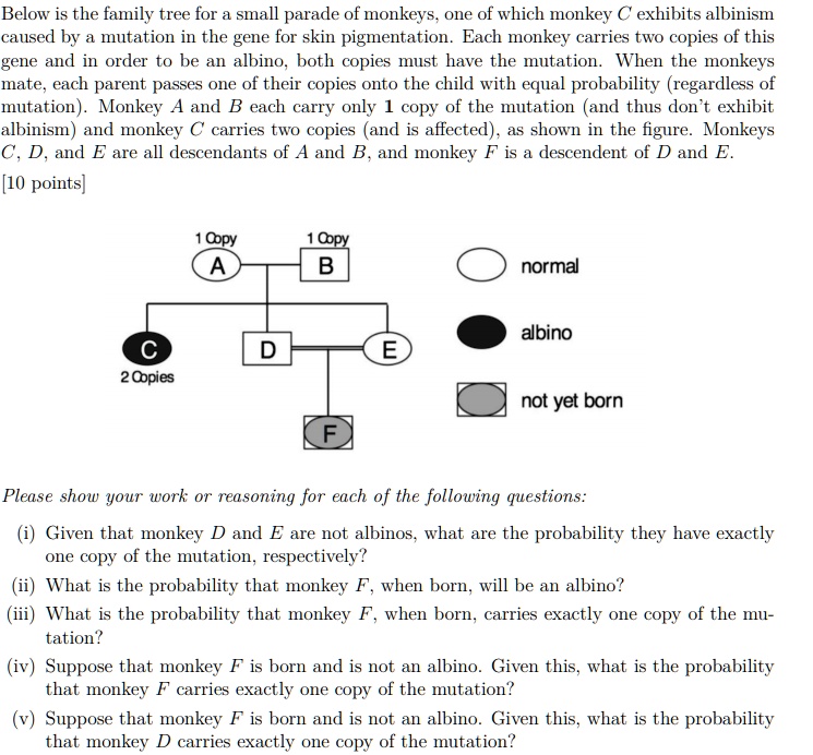 SOLVED: Below is the family tree for small parade of monkeys one of ...