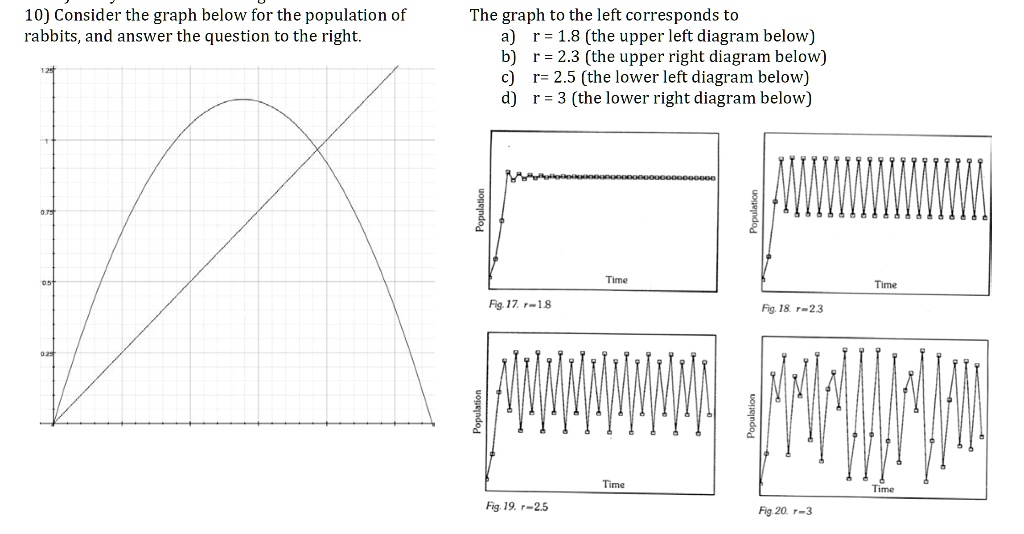 SOLVED: 10) Consider the graph below for the population of rabbits, and ...