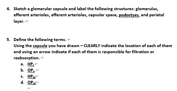 4. Sketch a glomerular capsule and label the following structures ...