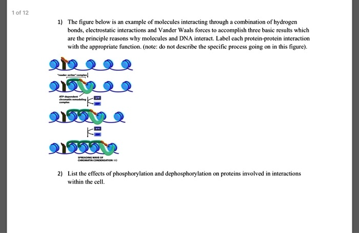 SOLVED: The figure below is an example of molecules interacting through ...